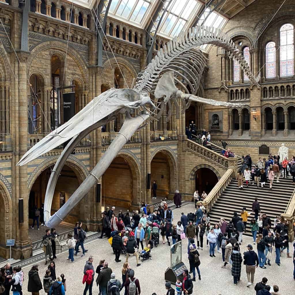 Free museum entry - Fathom Consulting